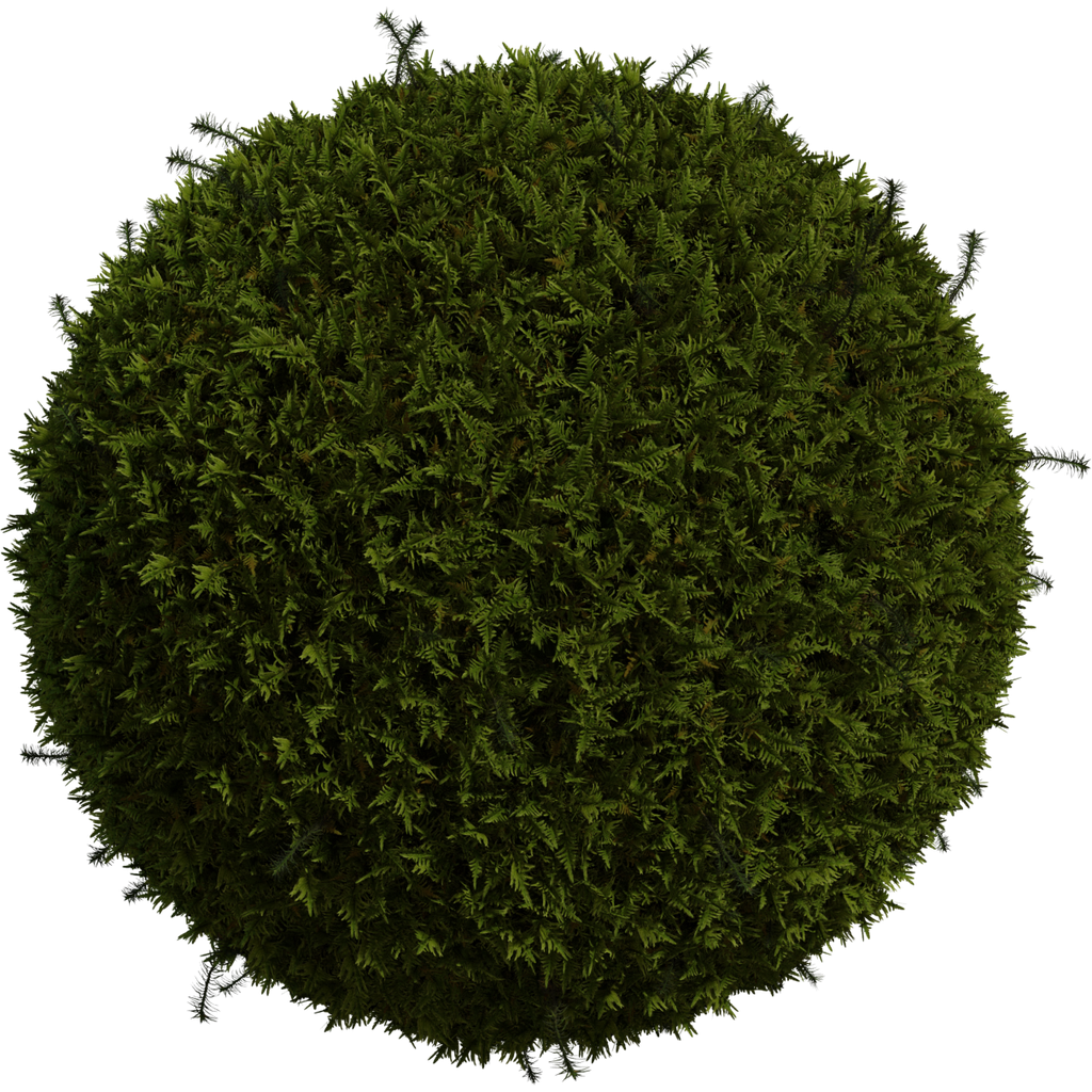 BlenderKit | Download the FREE Moss 01 model