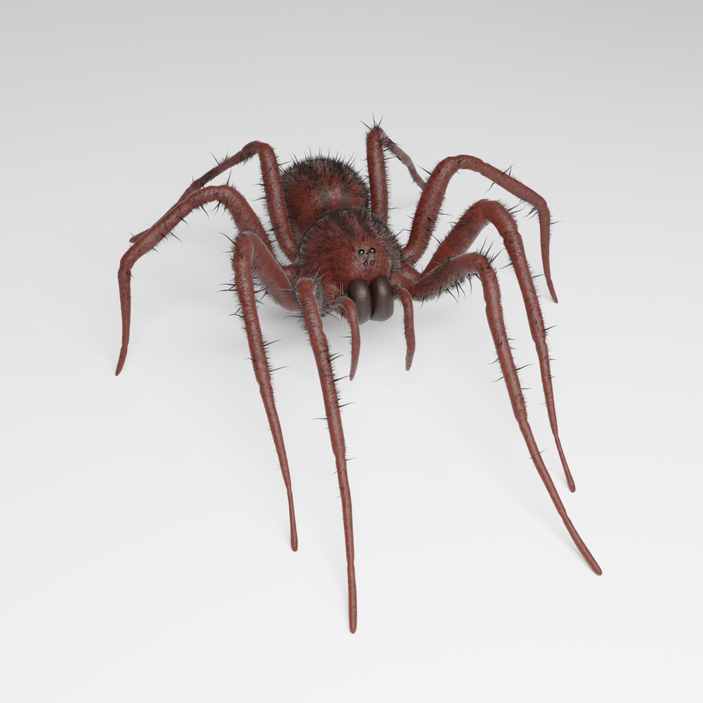 Honey bee | FREE 3D Insect models | BlenderKit