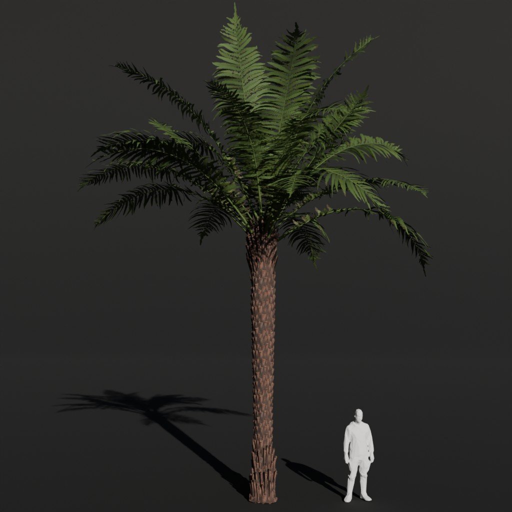 Tree Fern Large Sparse | Trees models | BlenderKit