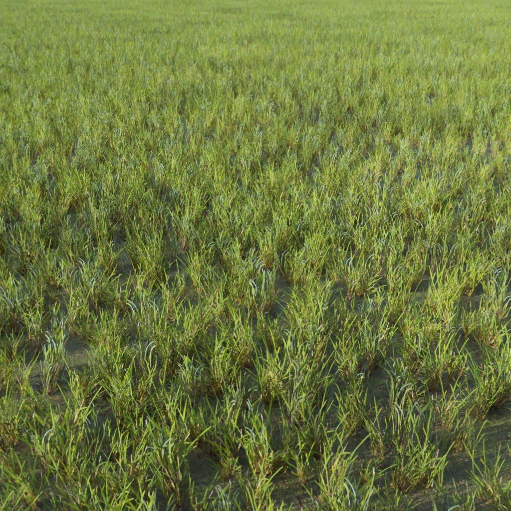 Grass Generic Small Clumps | Grass models | BlenderKit