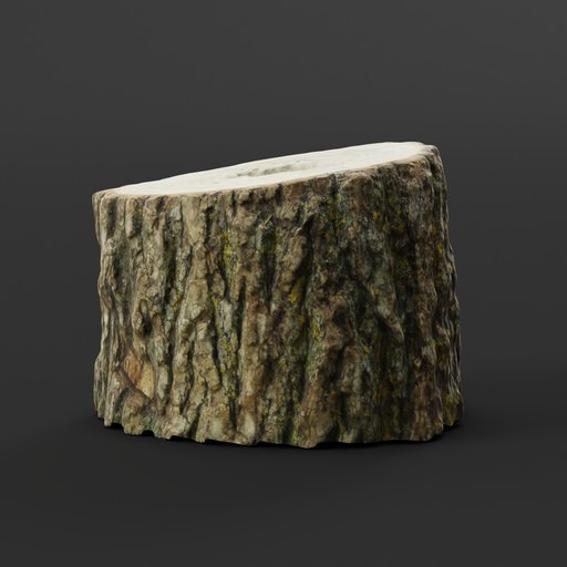 Cut log 04 - remeshed photoscan | FREE Trees models | BlenderKit