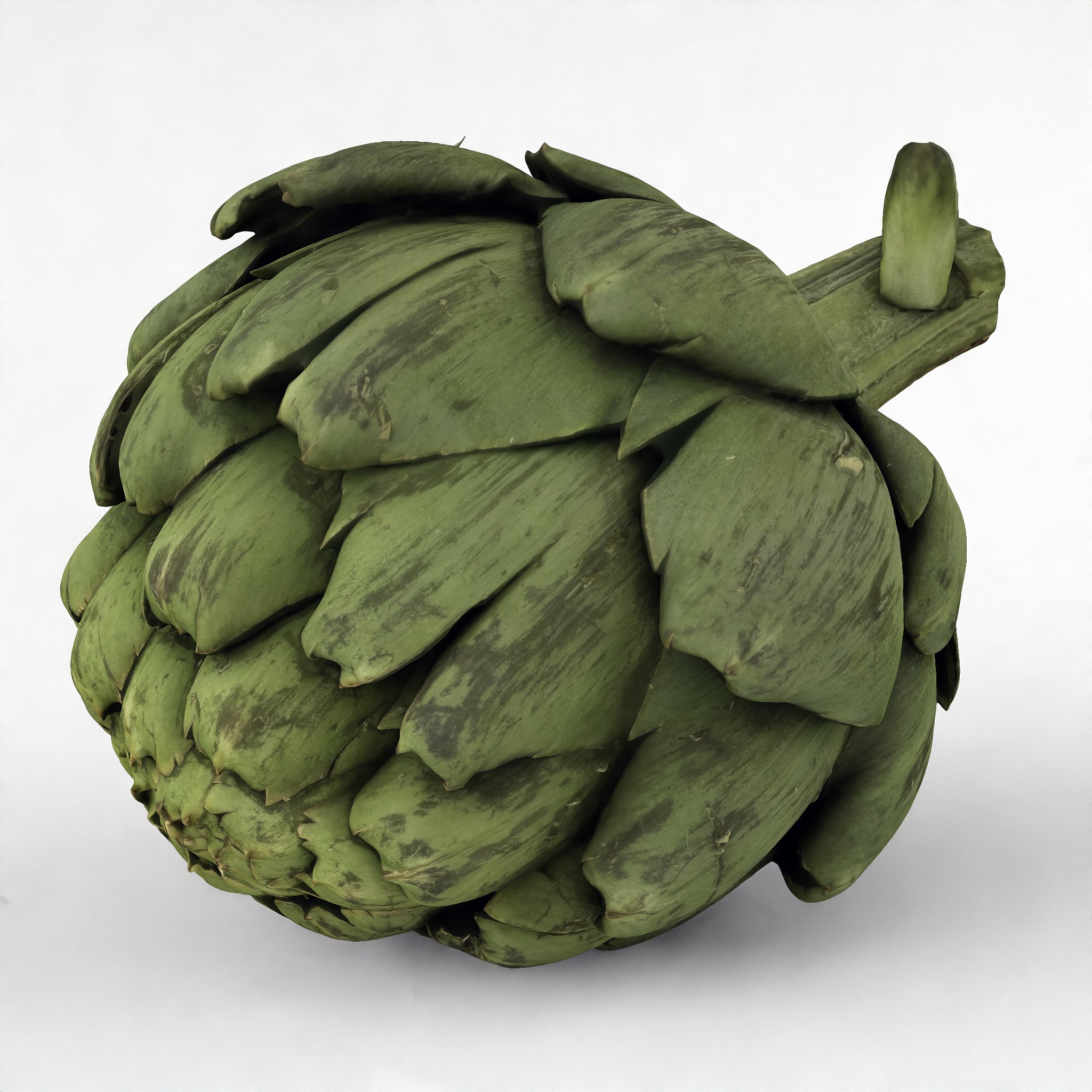 Artichoke vegetable green leaves food | Fruit & Vegetables models ...