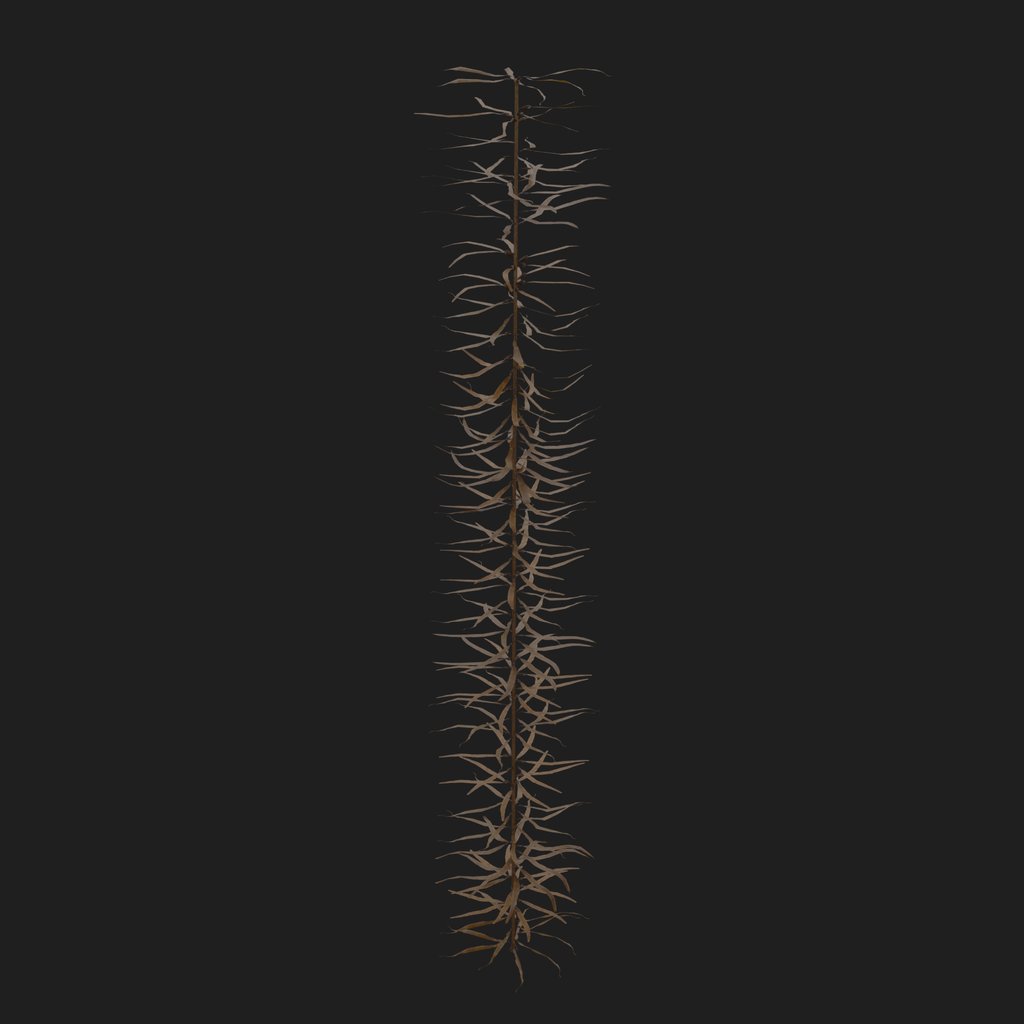 Animated kelb | Outdoor Plants models | BlenderKit