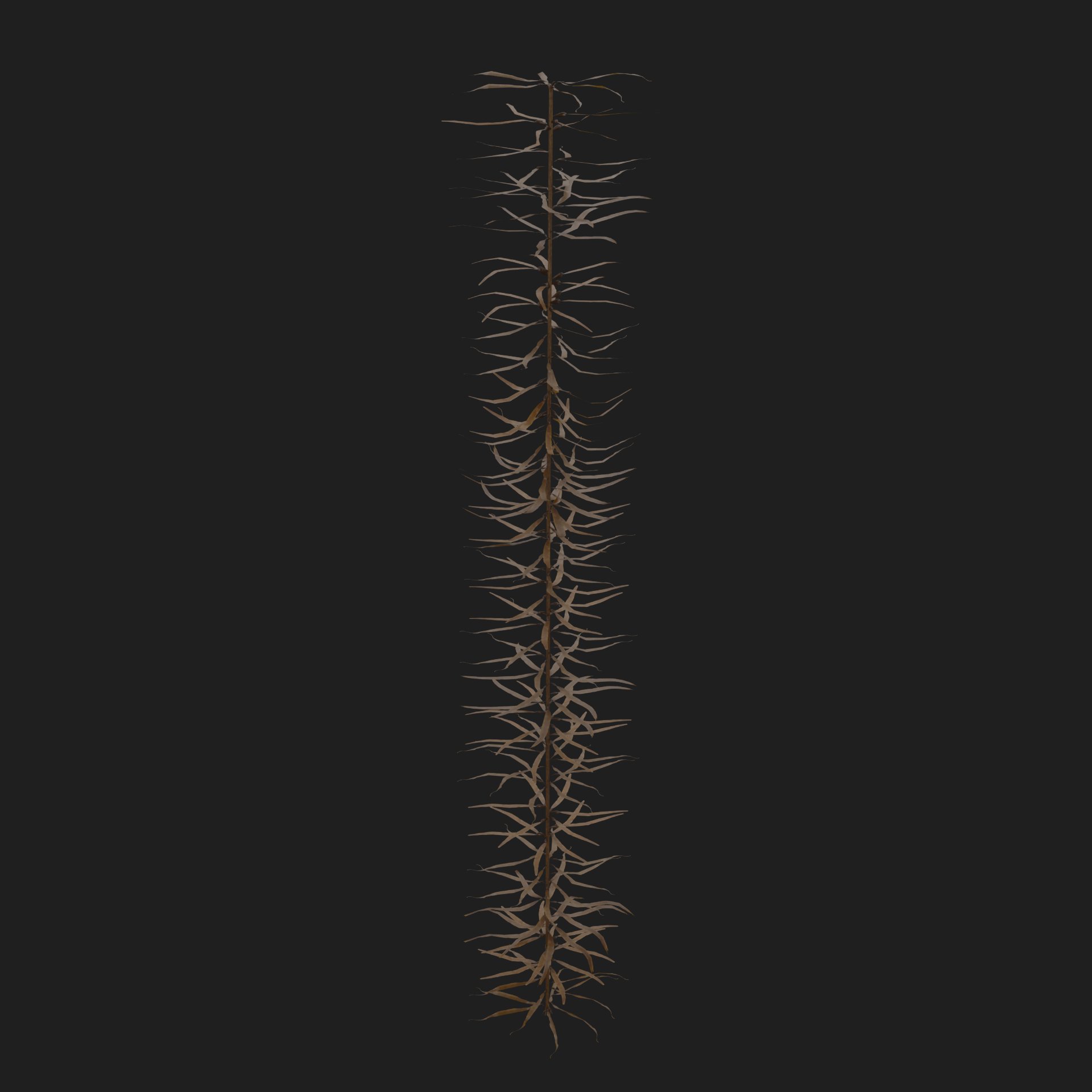 Animated kelb | Outdoor Plants models | BlenderKit