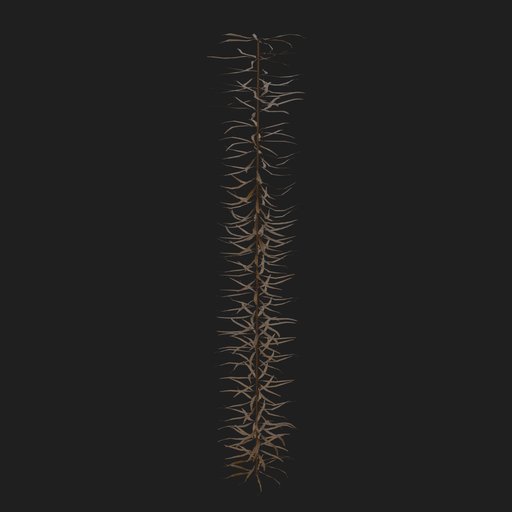Animated kelb | Outdoor Plants models | BlenderKit