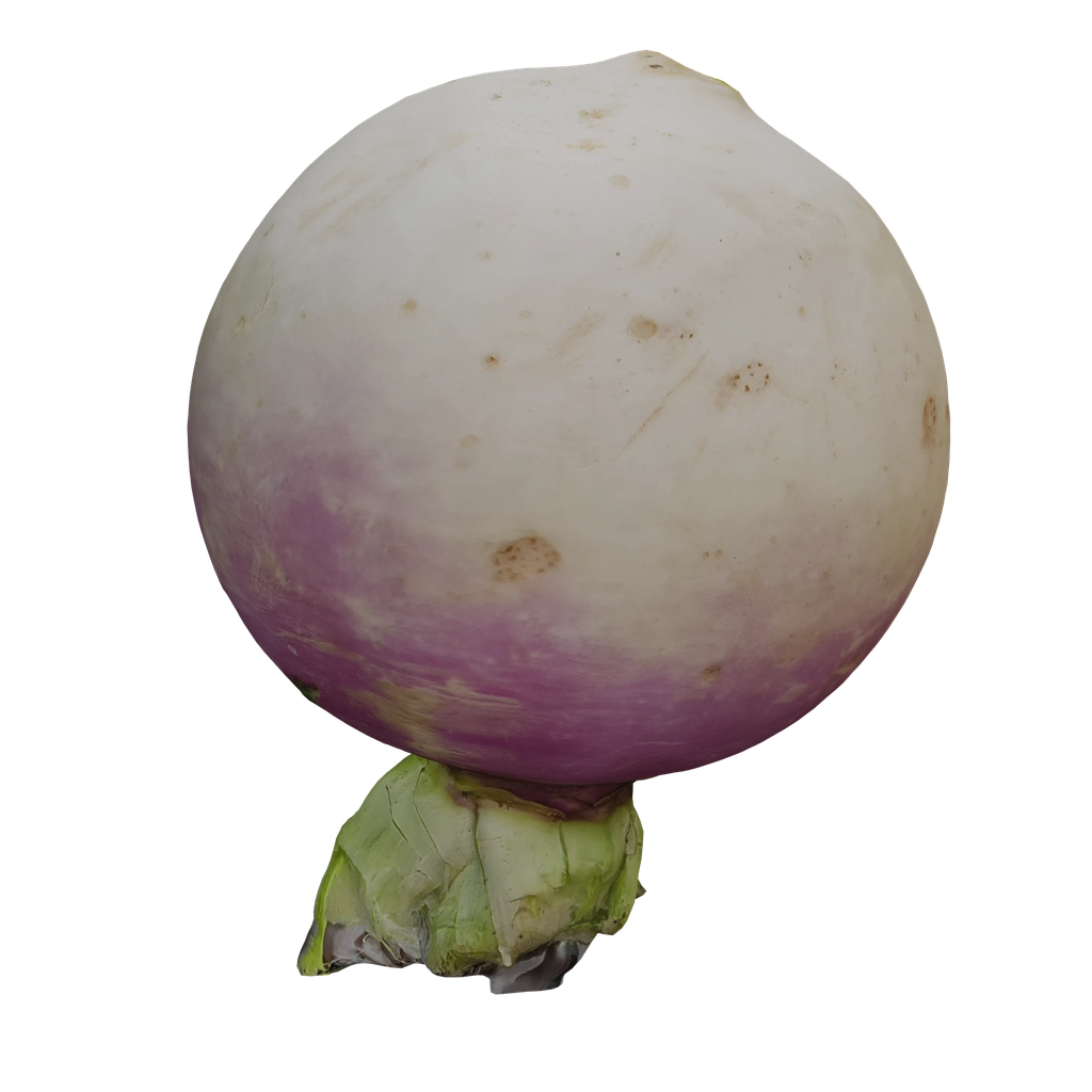 Turnips Scan | FREE Fruit & Vegetables models | BlenderKit
