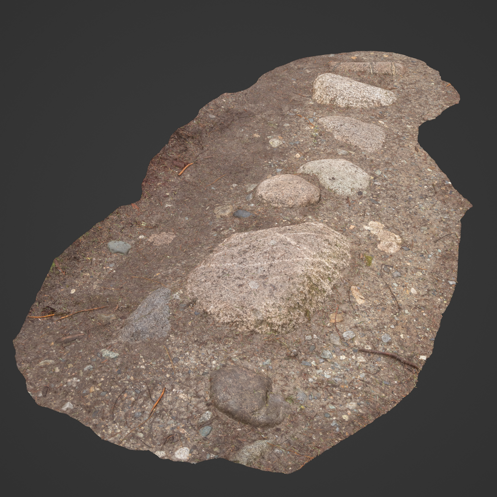 Rocky ground in forest | FREE Environment Elements models | BlenderKit