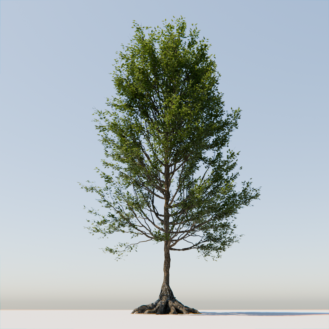 Tree 17 | Trees models | BlenderKit