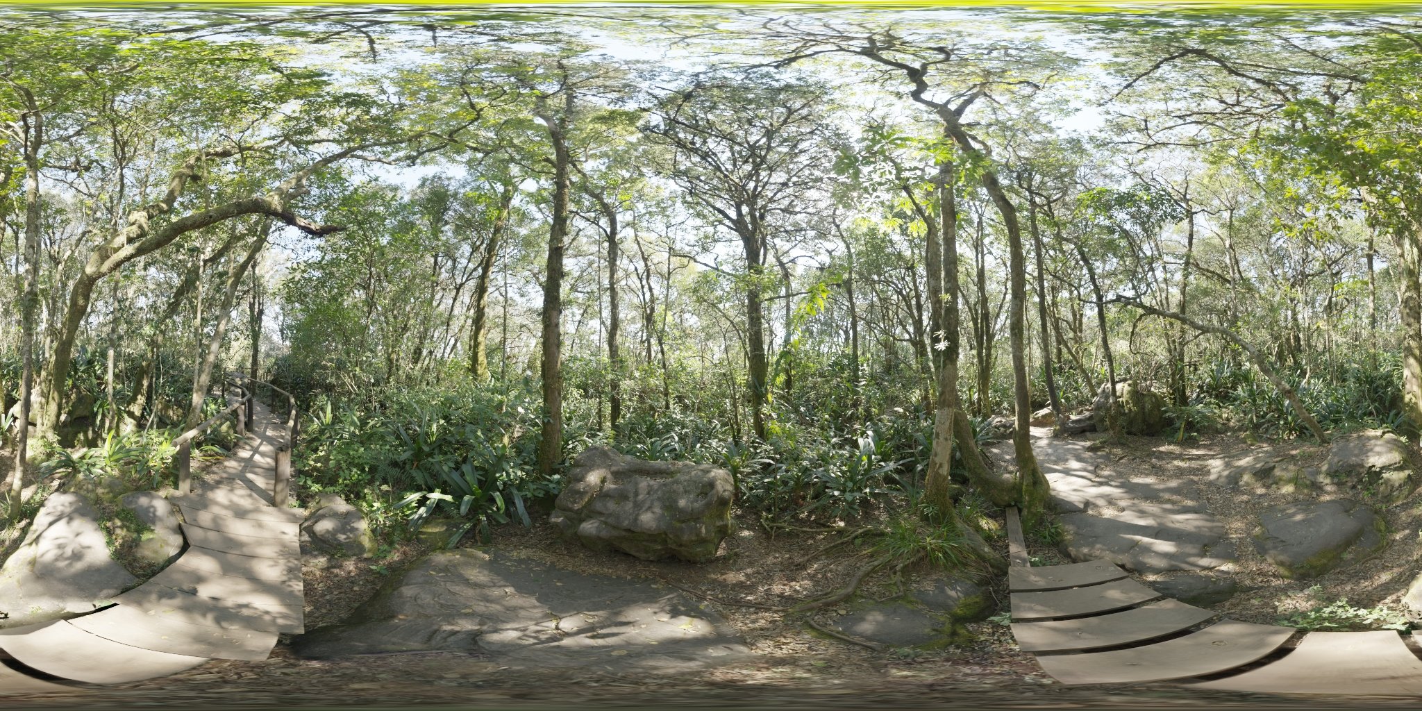 Rainforest Trail | FREE Nature HDRis | BlenderKit