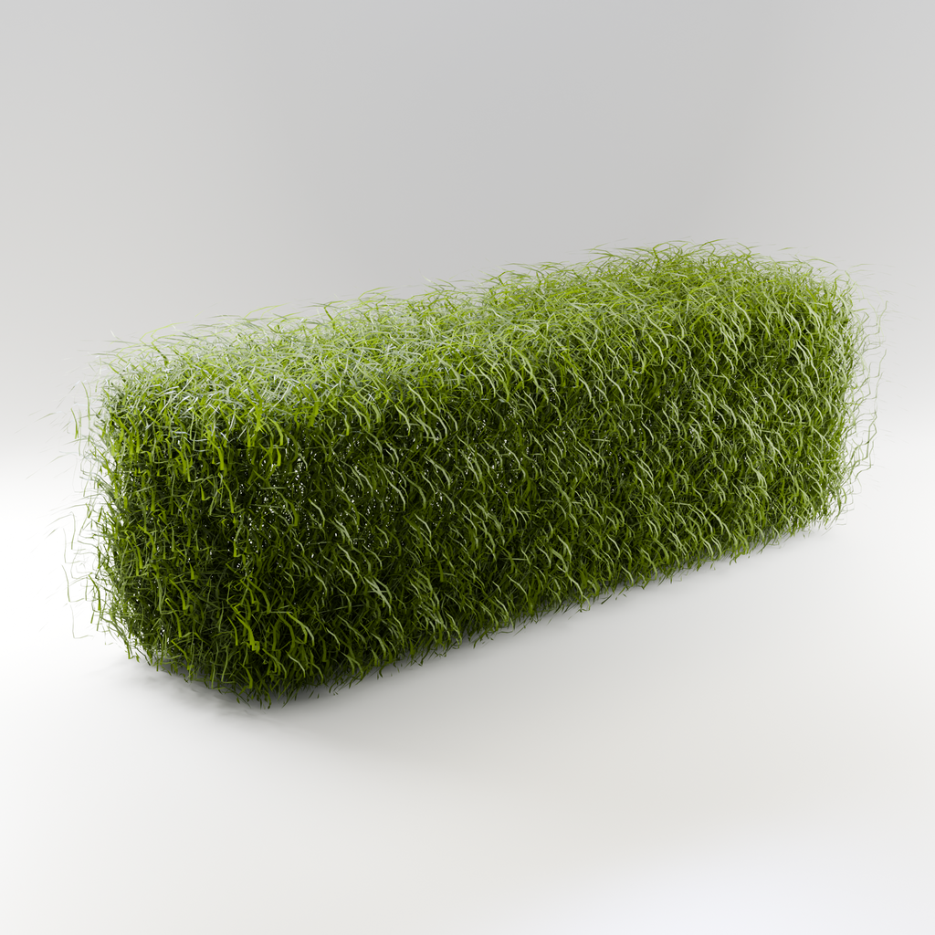 IB-Hedge Grass Slab | FREE Grass models | BlenderKit