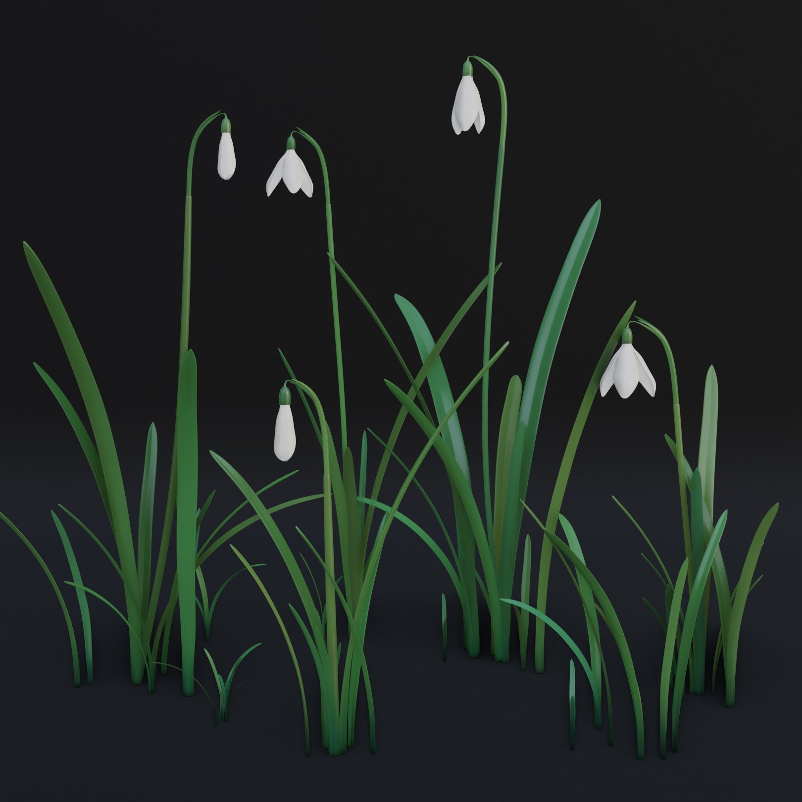 Snowdrops Collection | FREE Outdoor Plants models | BlenderKit