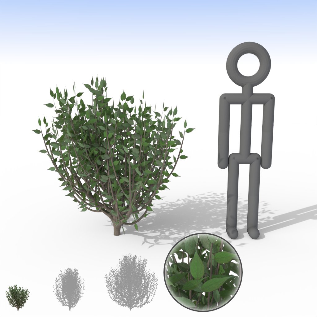 Spindly Bush - Small | Outdoor Plants models | BlenderKit