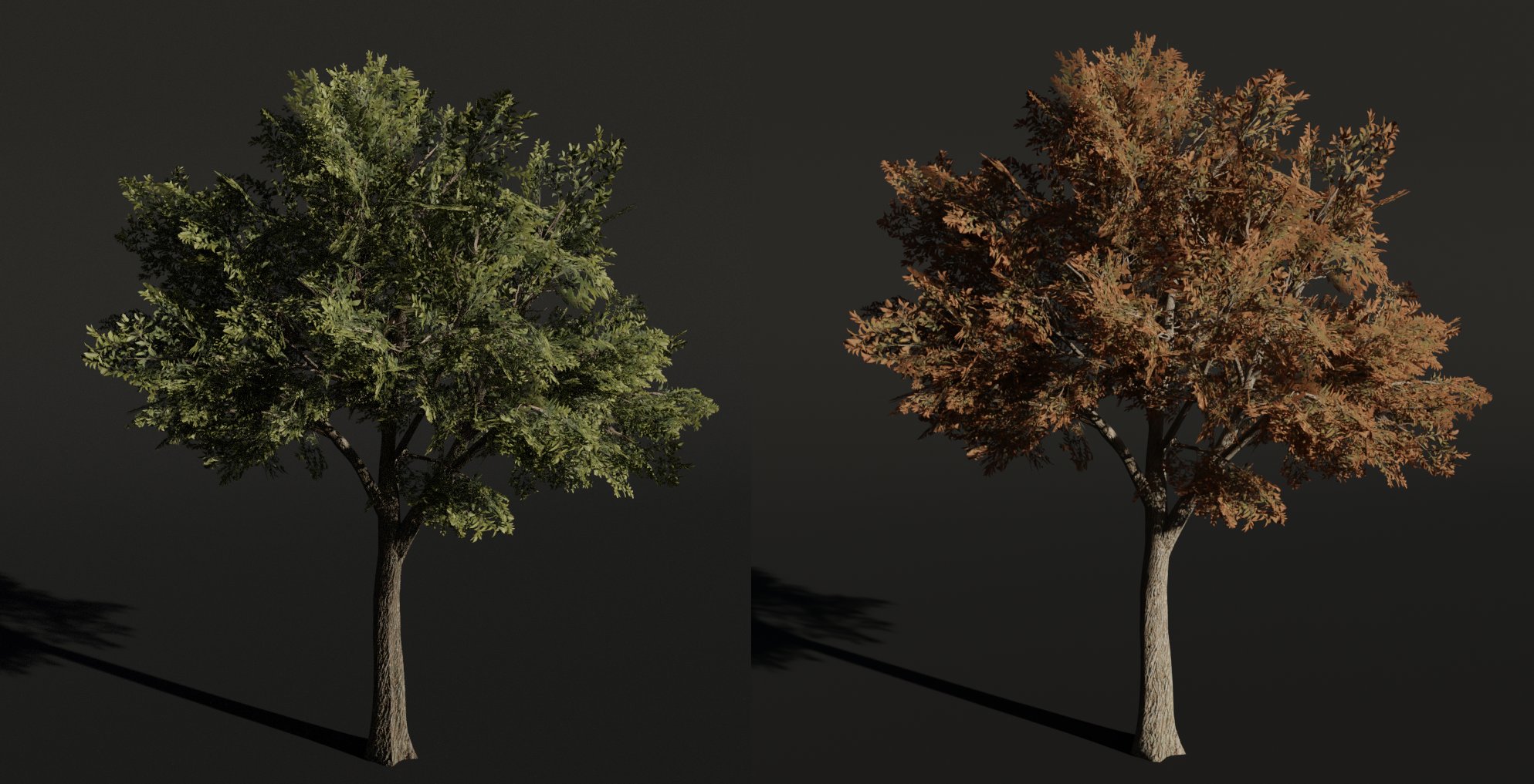 Tree Siberian Elm b1 | Trees models | BlenderKit
