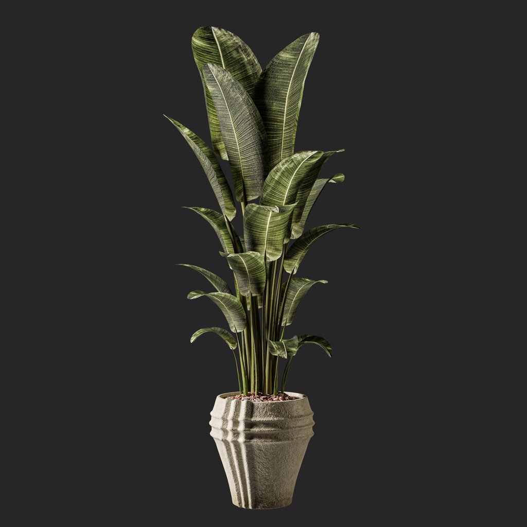 Plant | Indoor Plants models | BlenderKit