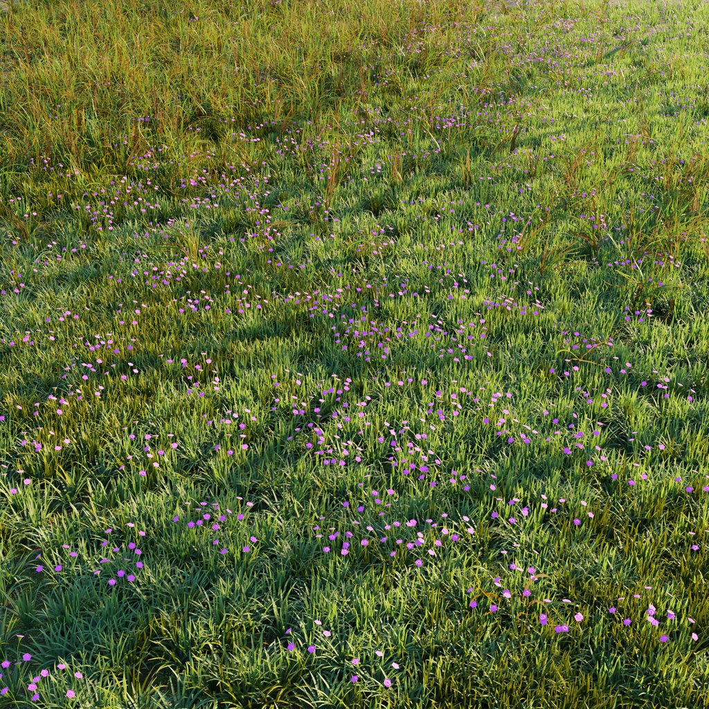 Grass | Grass models | BlenderKit