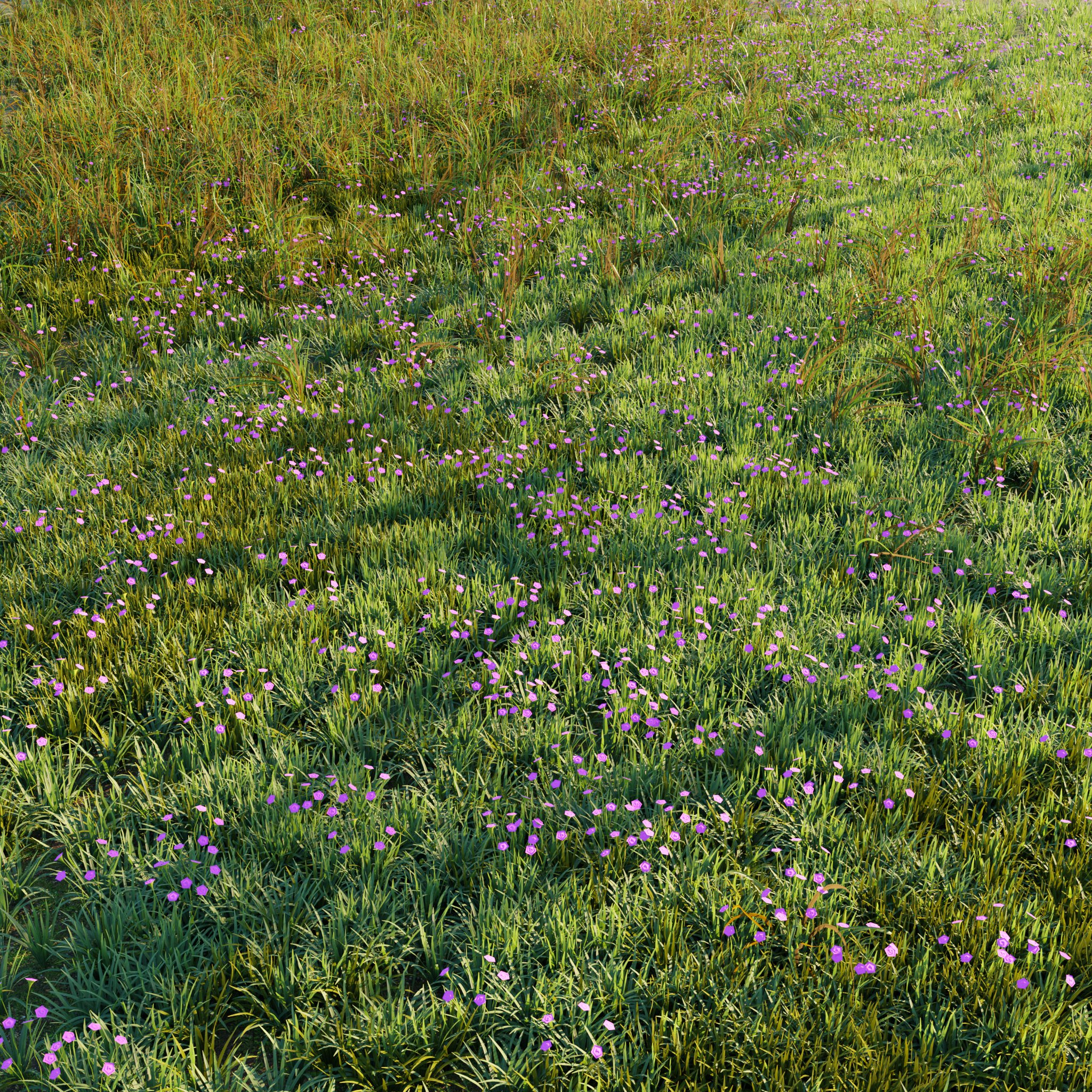 Grass | Grass models | BlenderKit