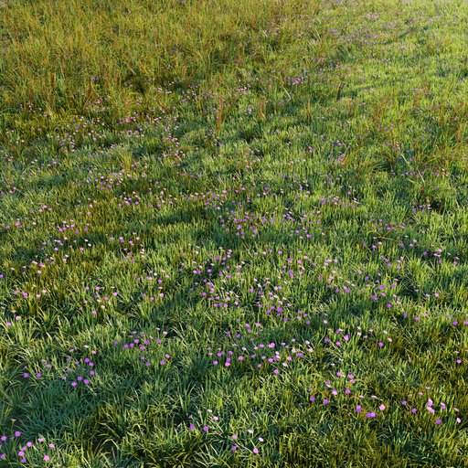 Grass | Grass models | BlenderKit