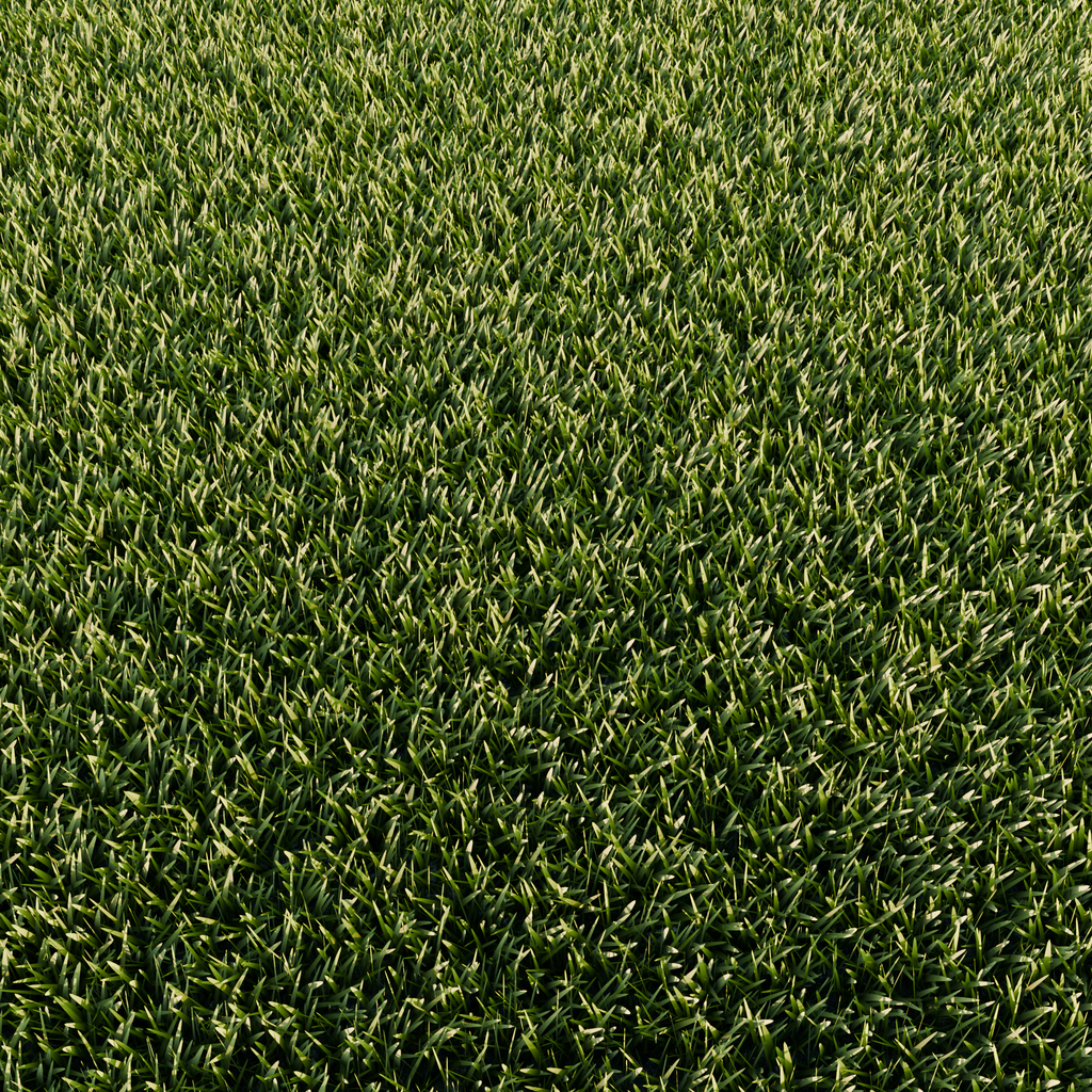 Grass - lawn procedural | Grass models | BlenderKit