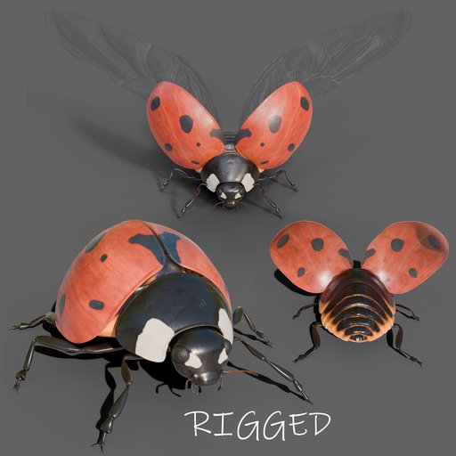 Ant (Rigged) | FREE Insects models | BlenderKit