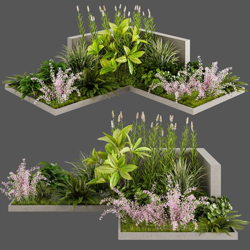 Garden plants B | Outdoor Plants models | BlenderKit