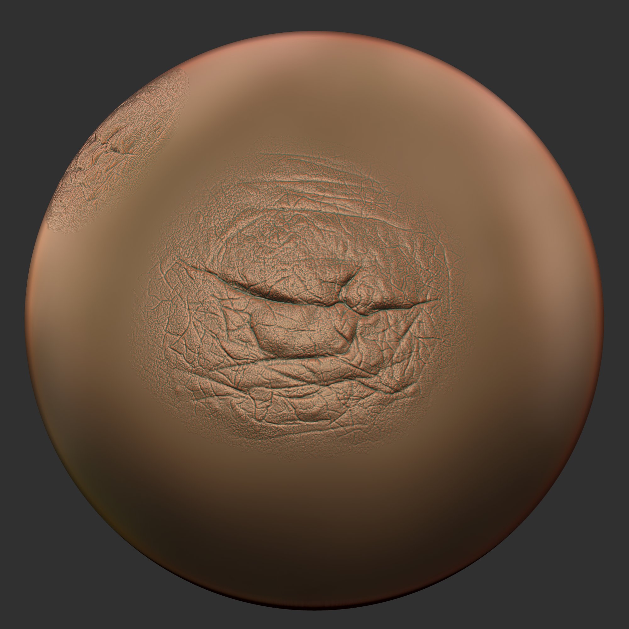 ER Human Skin(U) 101 | Human Skin brushes | BlenderKit