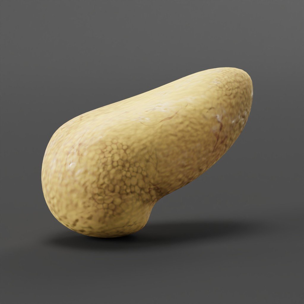 Human Brain | FREE Internal Organs models | BlenderKit