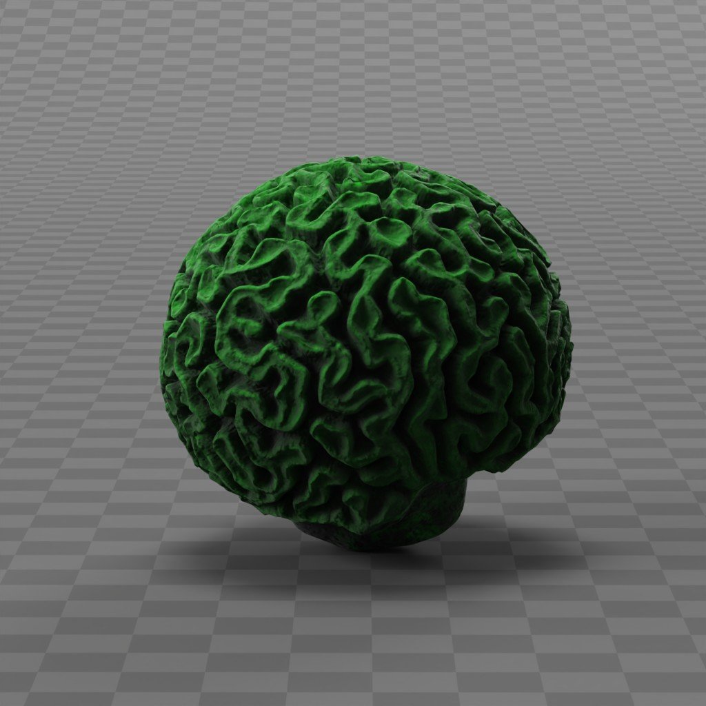 Green brain Coral | Nature models | BlenderKit
