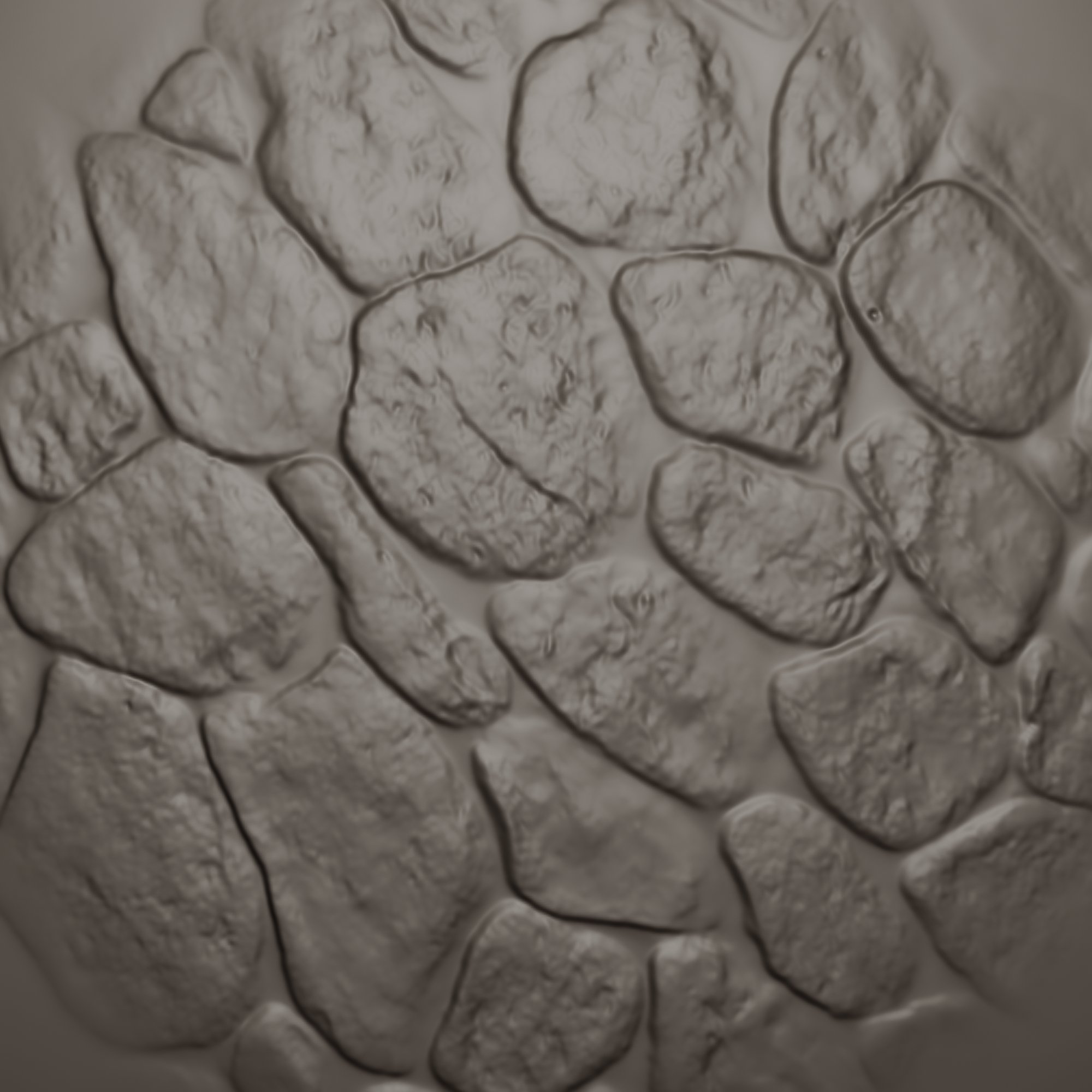 Rock Alpha brush | rock brushes | BlenderKit