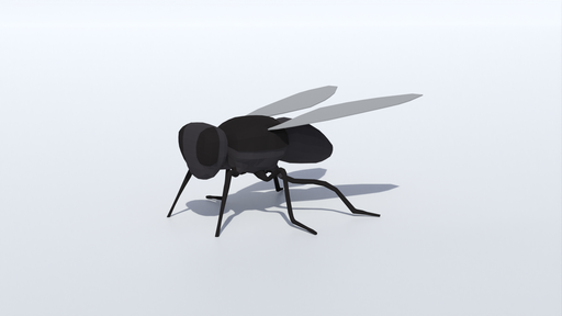 Low Poly Fly | Insects models | BlenderKit