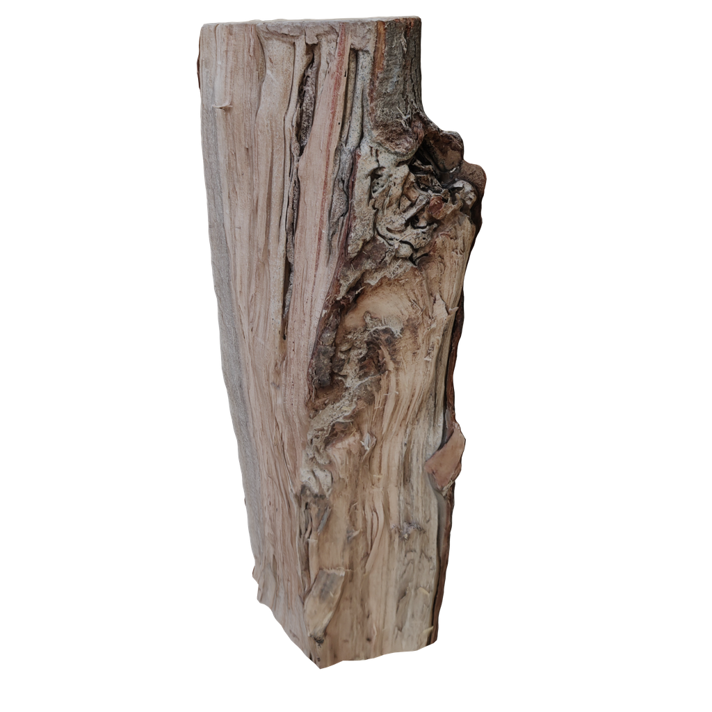 Cutted Log | FREE Trees models | BlenderKit