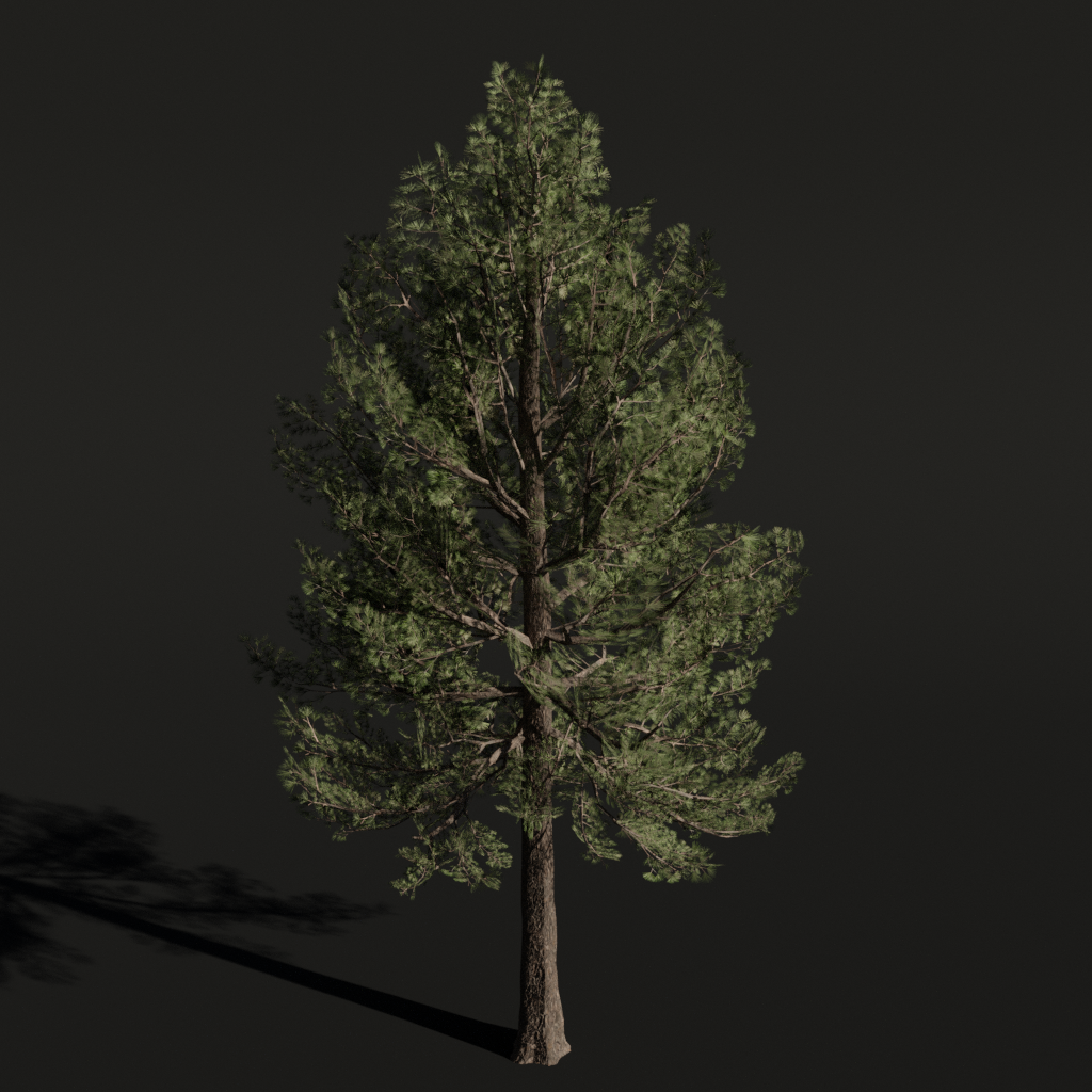 Tree PineSiberian b1 | Trees models | BlenderKit