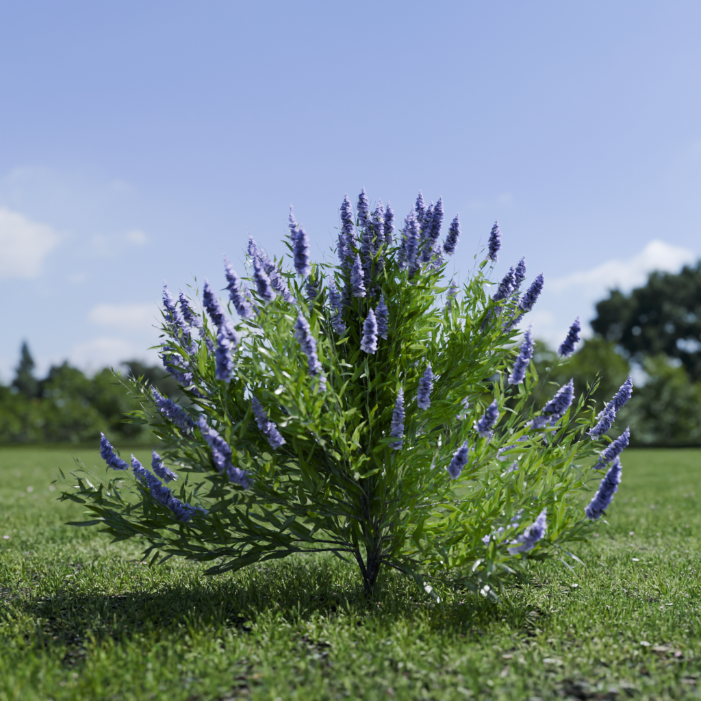 BlenderKit | Download the Shurb Spirea Care Blue Mist Animated model