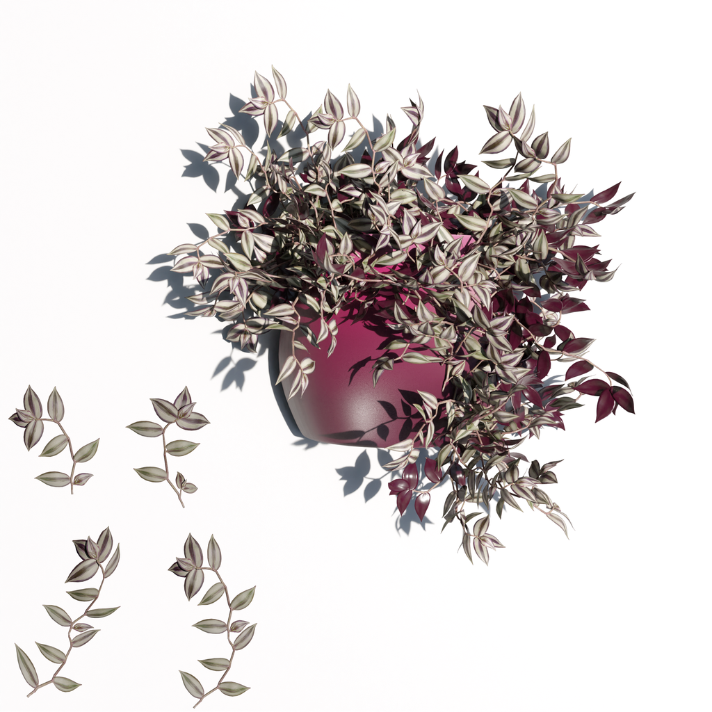 Inch Plant | models | BlenderKit