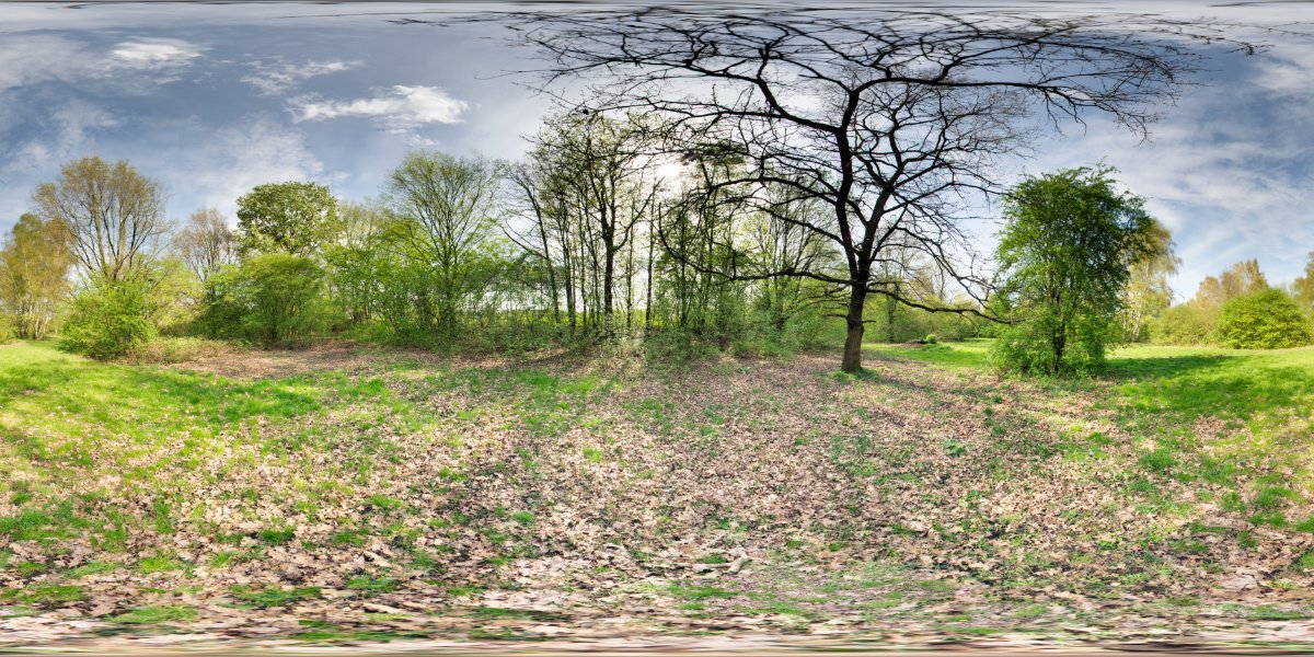 Outdoor Sunny Day Park | Nature HDRis | BlenderKit