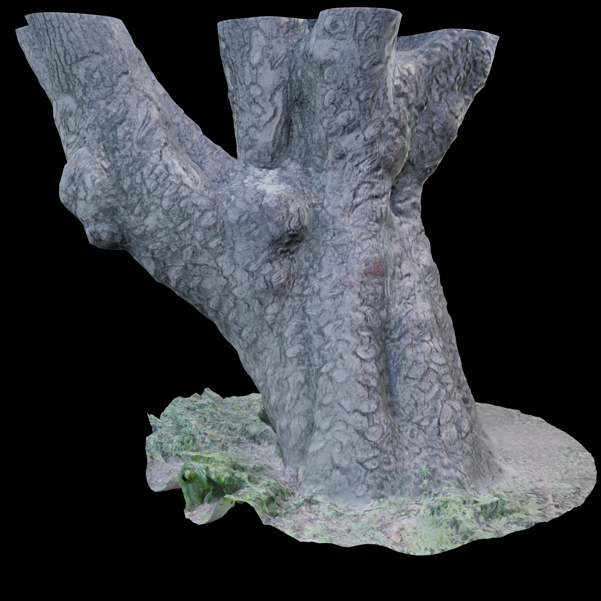 Stylized tree Scan | FREE Trees models | BlenderKit