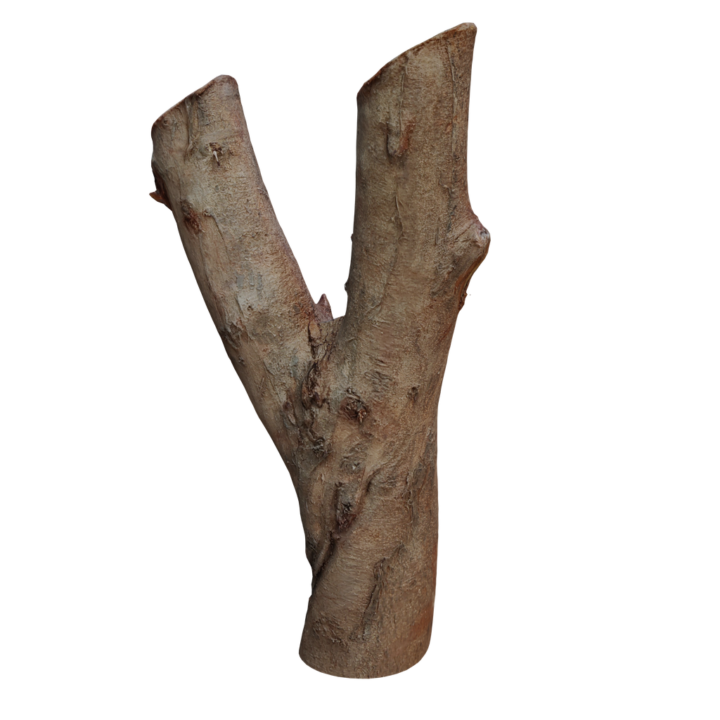 Log Y shaped | FREE Trees models | BlenderKit