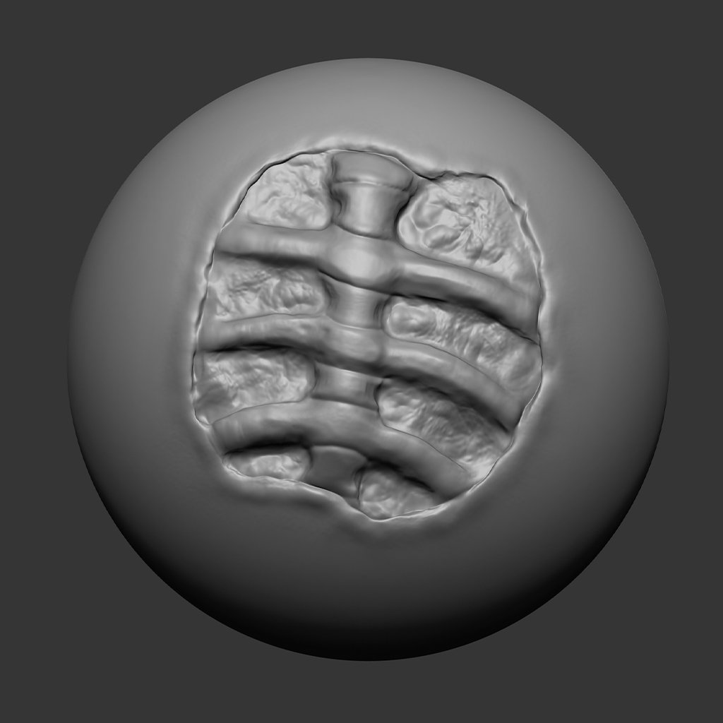 NS Zombie exposed ribcage | misc brushes | BlenderKit