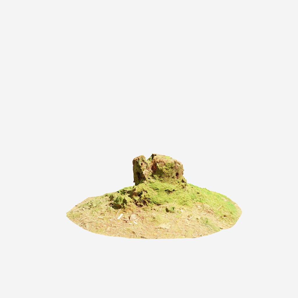 Oak Tree Stump PBR Scan 02 | Trees models | BlenderKit