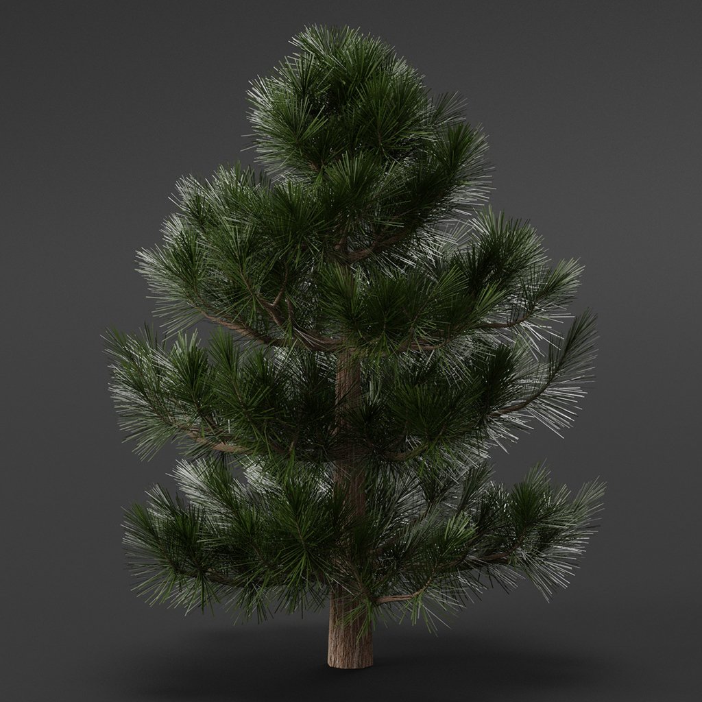 Pine Tree | Trees models | BlenderKit