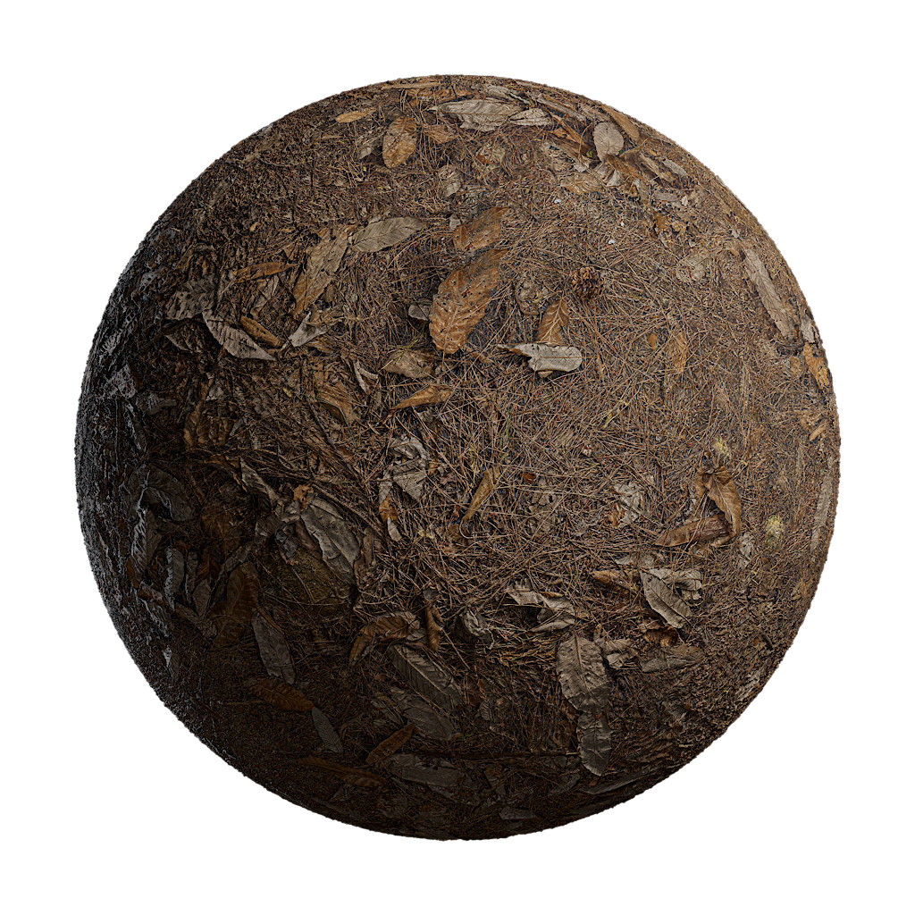 Pine Forest Ground | FREE ground materials | BlenderKit
