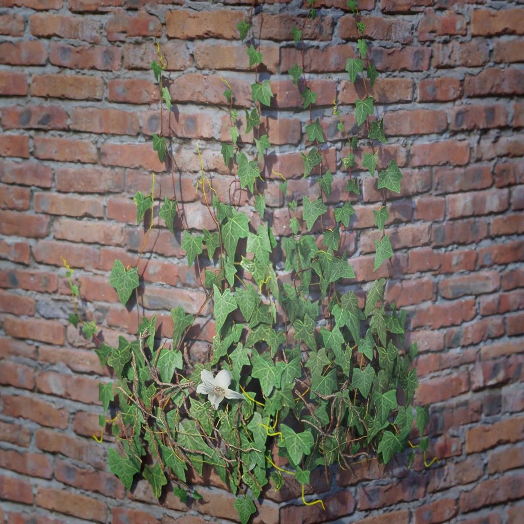 Ivy Creeper Wall Corner 1M 01 | Outdoor Plants models | BlenderKit