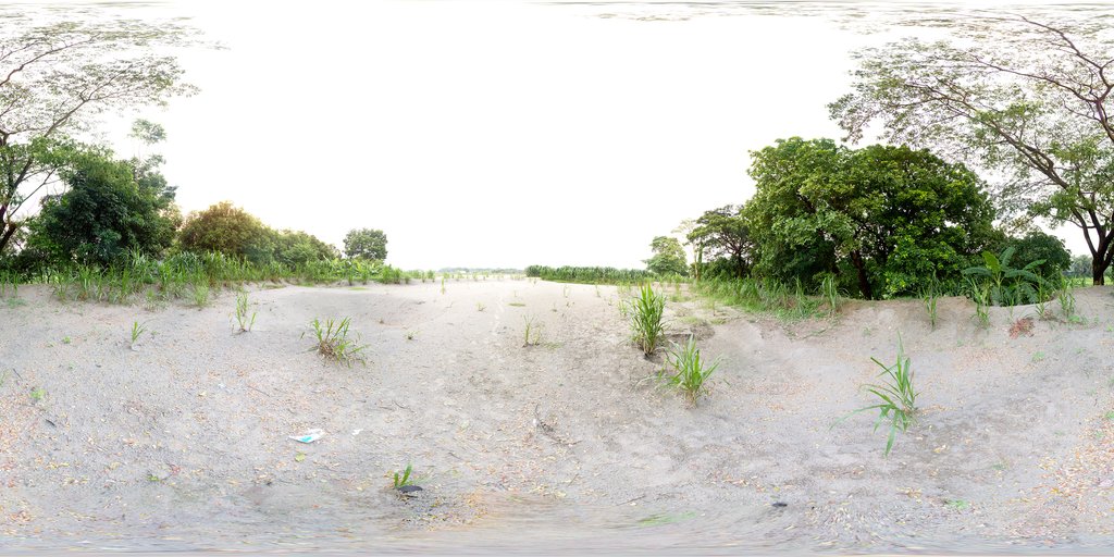 Sandy Clearing | FREE Nature HDRis | BlenderKit