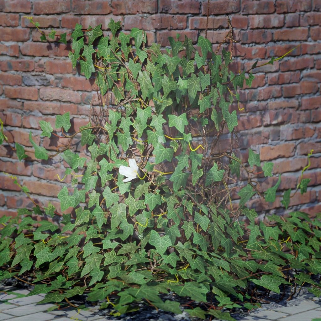 Ivy Creeper Wall Corner 2M 01 | Outdoor Plants models | BlenderKit