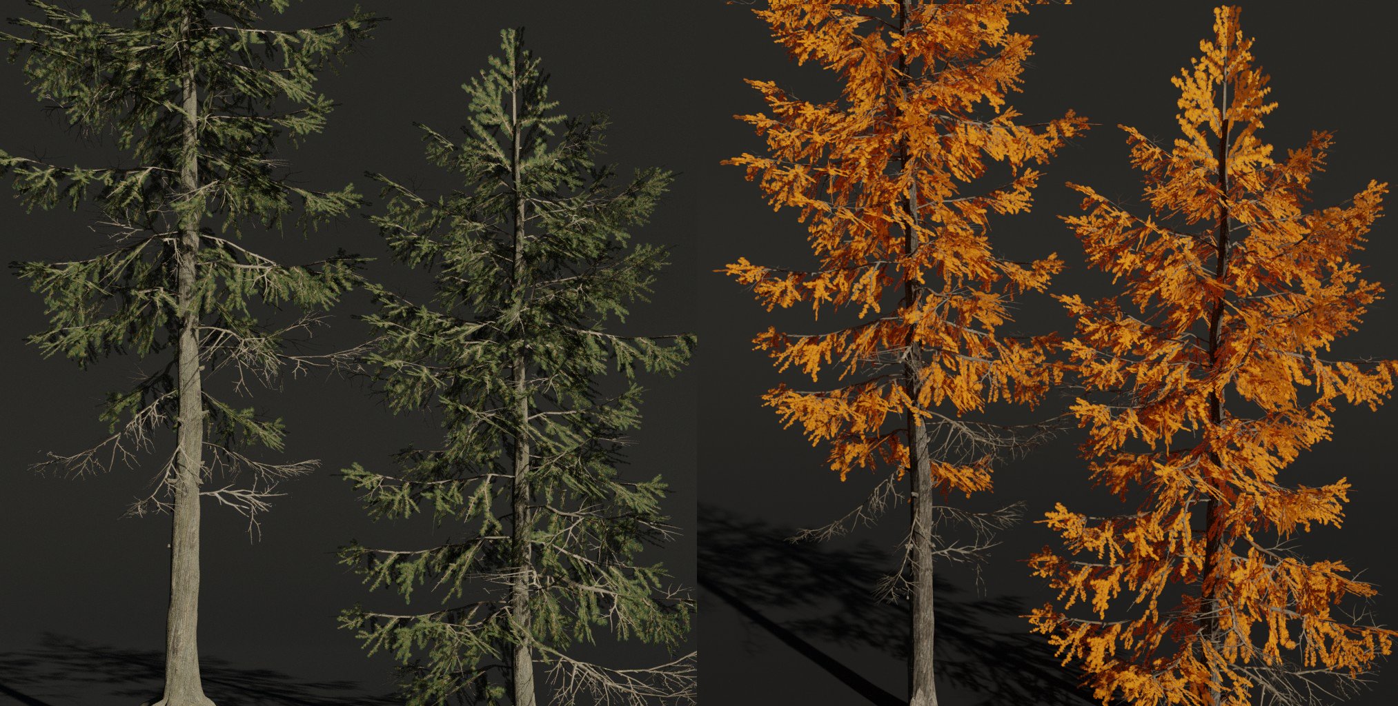 Tree European Larch b1 | Trees models | BlenderKit