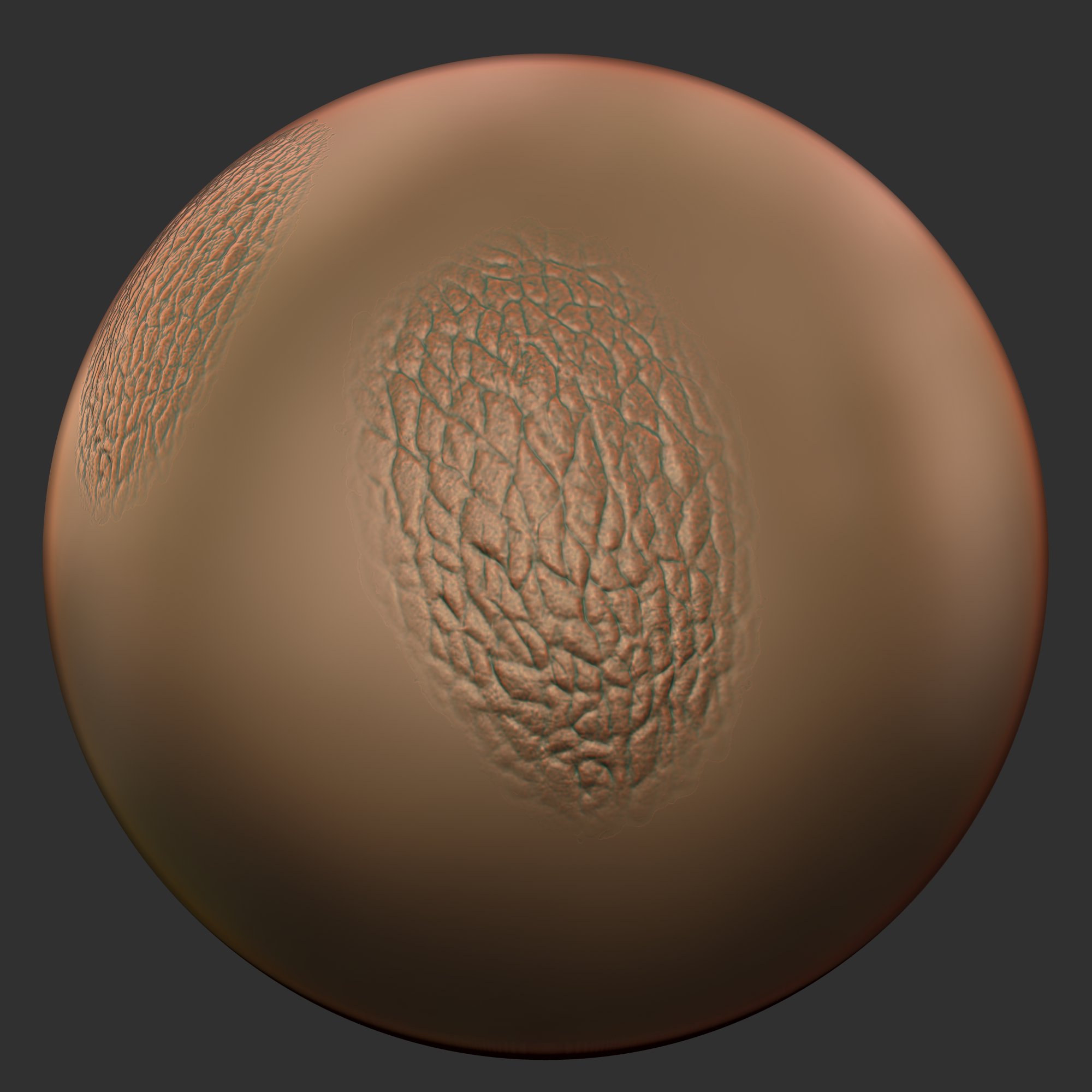 ER Human Skin(D) 19 | Human Skin brushes | BlenderKit