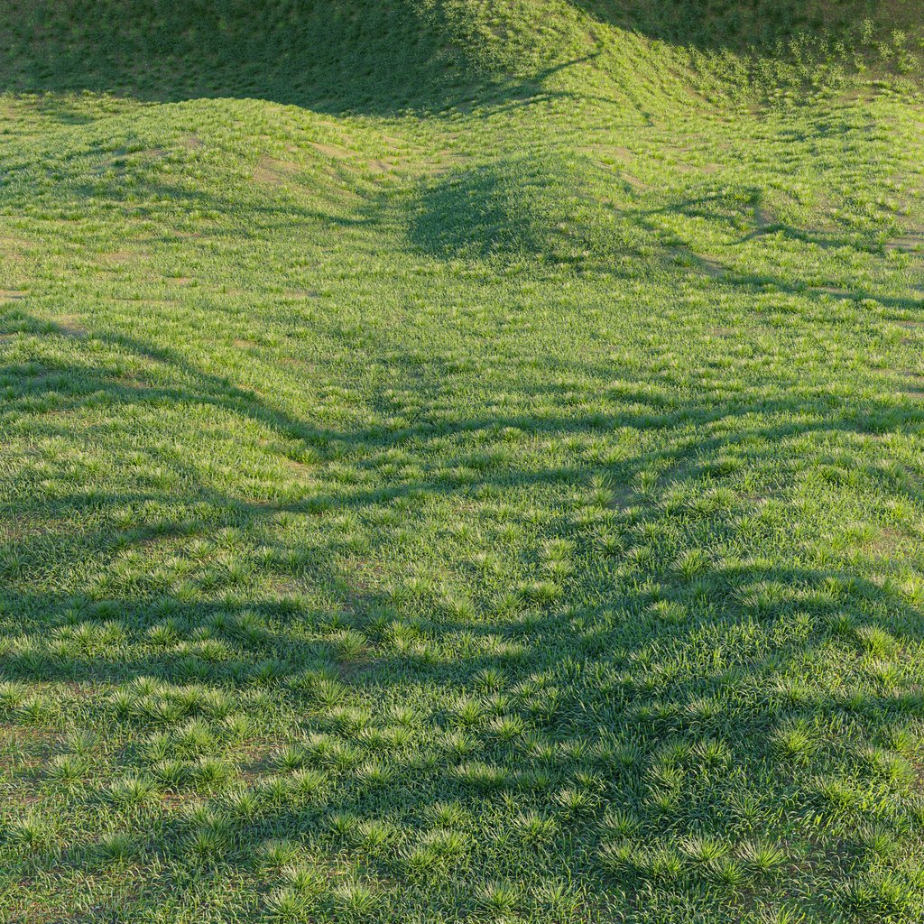 Grass | Grass models | BlenderKit