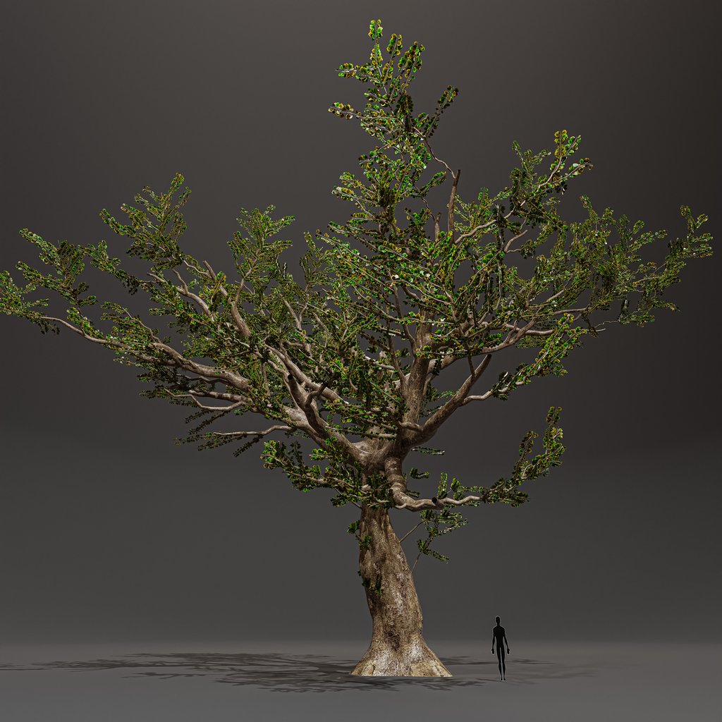 Old giant tree | Trees models | BlenderKit