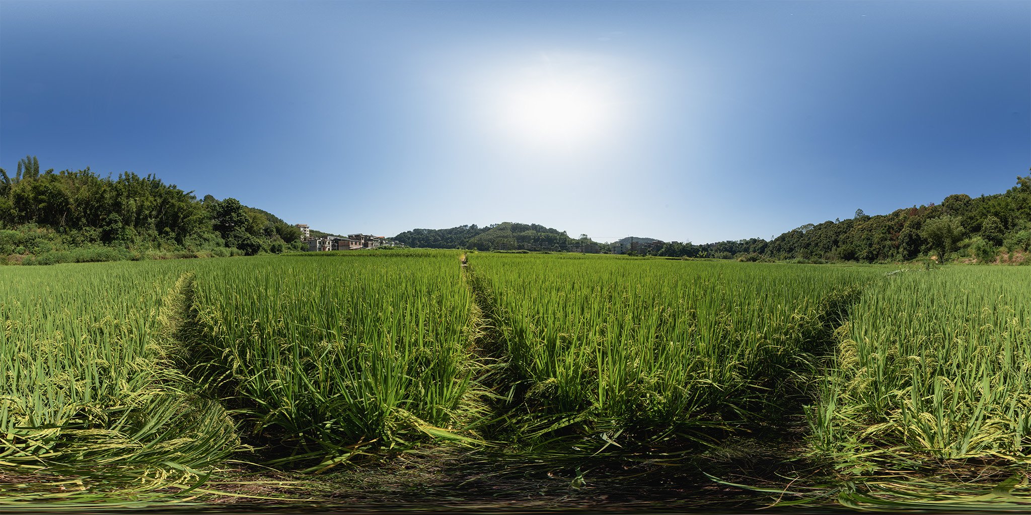 Daytime farmland | Nature HDRis | BlenderKit