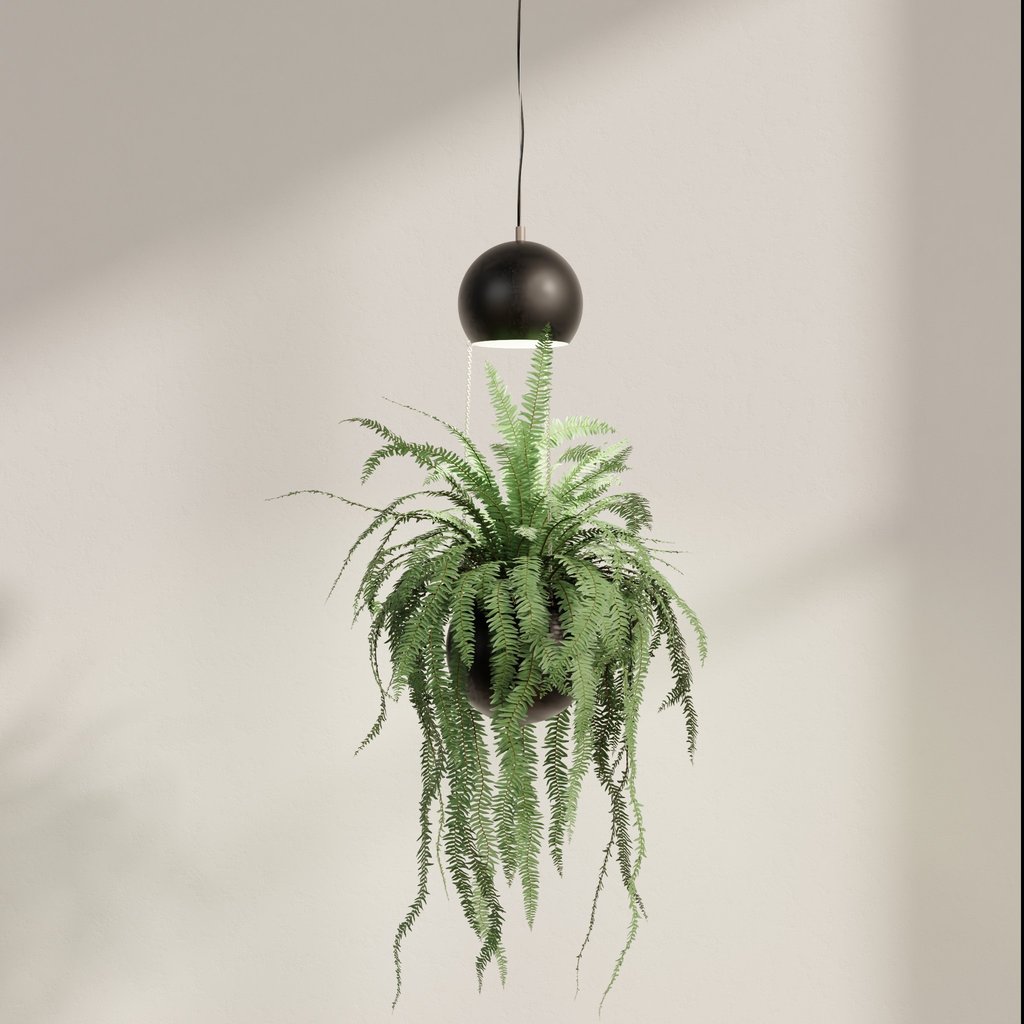 Floating Fern Pendant | Indoor Plants models | BlenderKit