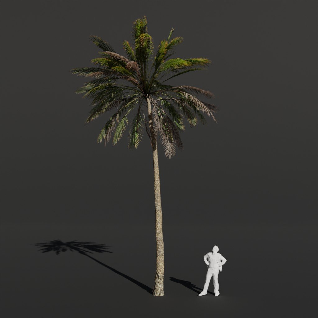 Palm Tree Medium Bent | Trees models | BlenderKit